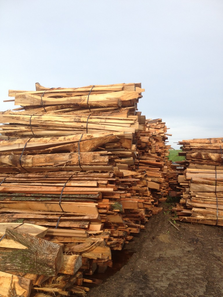 Our Products – Grau Logs and Lumber